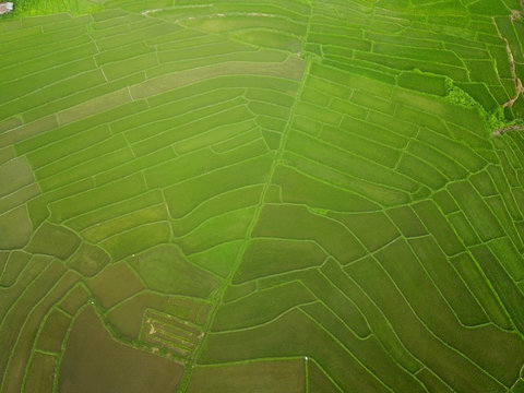 "Rice Field Drone" Images – Browse 28 Stock Photos, Vectors, and Video ...