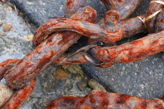 รูปภาพUsure – เลือกดูภาพถ่ายสต็อก เวกเตอร์ และวิดีโอ1,811 | Adobe Stock