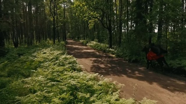 Little Red Riding Hood Images – Browse 7,077 Stock Photos, Vectors, and ...