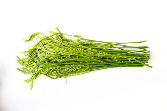 Linear-Oblong Images – Browse 15 Stock Photos, Vectors, and Video ...