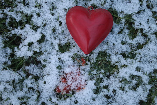 Bloody Heart In Snow