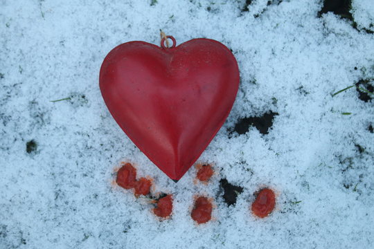 Bloody Heart In Snow
