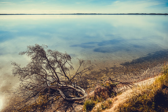 รูปภาพRazna – เลือกดูภาพถ่ายสต็อก เวกเตอร์ และวิดีโอ168 | Adobe Stock