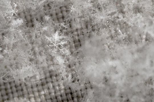 รูปภาพFrostbite – เลือกดูภาพถ่ายสต็อก เวกเตอร์ และวิดีโอ7,061 | Adobe Stock