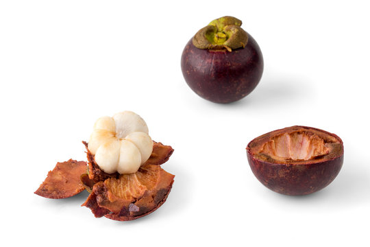 Mangustin Images – Browse 36 Stock Photos, Vectors, and Video | Adobe Stock