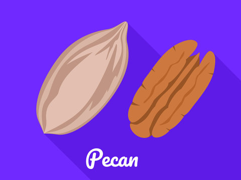 รูปภาพPacane – เลือกดูภาพถ่ายสต็อก เวกเตอร์ และวิดีโอ292 | Adobe Stock