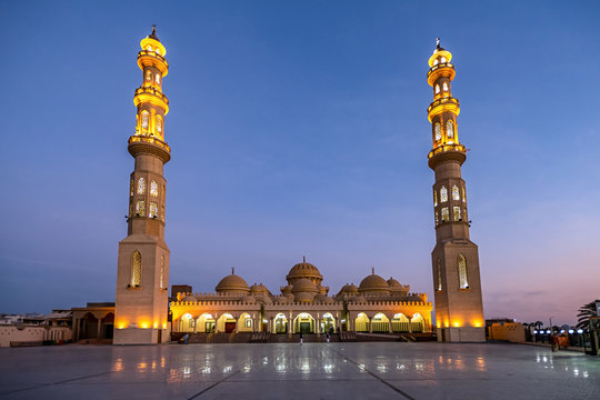 "El-Bilder: Stock-Fotos & -Videos. | Adobe Stock