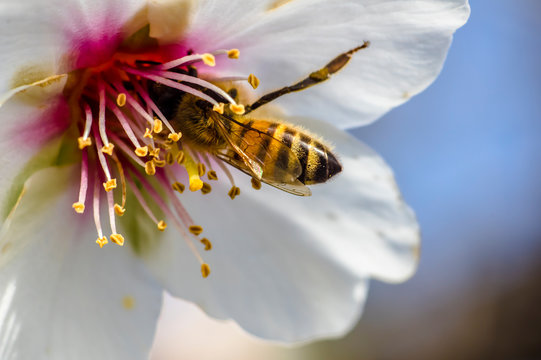 รูปภาพSirfide – เลือกดูภาพถ่ายสต็อก เวกเตอร์ และวิดีโอ127 | Adobe Stock