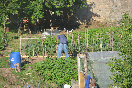 Trabo Images – Browse 3 Stock Photos, Vectors, and Video | Adobe Stock