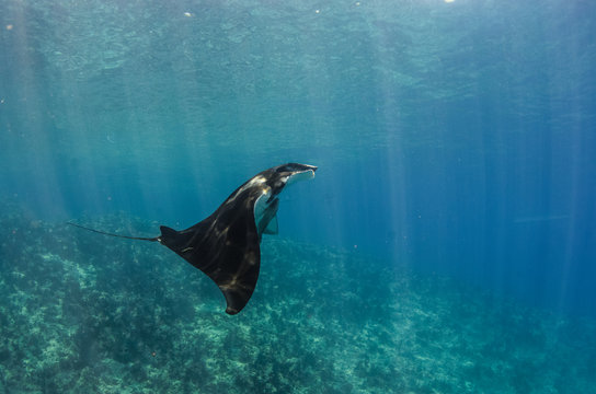 DIE 4,195 BESTEN BILDER, STOCK-FOTOS UND -VEKTORGRAFIKEN ZU ...