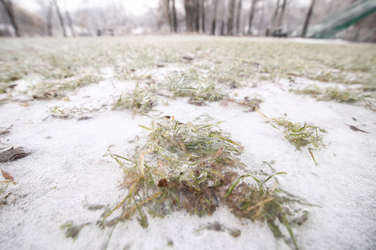 "Frozen Ground" Images – Browse 210 Stock Photos, Vectors, and Video ...