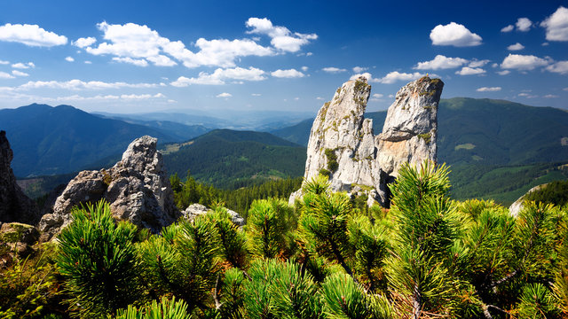 รูปภาพRarau – เลือกดูภาพถ่ายสต็อก เวกเตอร์ และวิดีโอ820 | Adobe Stock