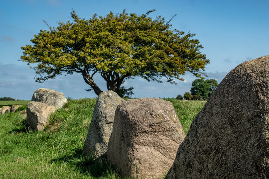 รูปภาพNobbin – เลือกดูภาพถ่ายสต็อก เวกเตอร์ และวิดีโอ73 | Adobe Stock