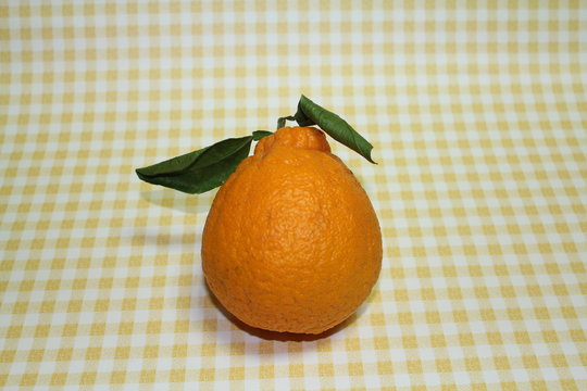 한라봉 Images – Browse 571 Stock Photos, Vectors, and Video | Adobe Stock