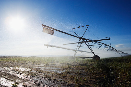Irrigator bilder – Bläddra bland 2,650 stockfoton, vektorer och videor ...