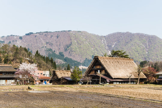 รูปภาพZukuri – เลือกดูภาพถ่ายสต็อก เวกเตอร์ และวิดีโอ1,508 | Adobe Stock