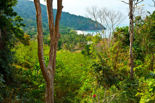 Tanod Images – Browse 63 Stock Photos, Vectors, and Video | Adobe Stock