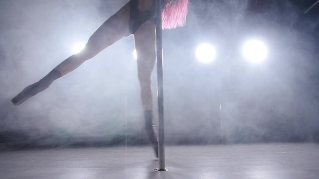 Poledancer bilder – Bläddra bland 1,554 stockfoton, vektorer och videor | Adobe Stock