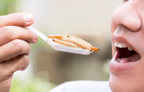 รูปภาพOmphisa – เลือกดูภาพถ่ายสต็อก เวกเตอร์ และวิดีโอ126 | Adobe Stock