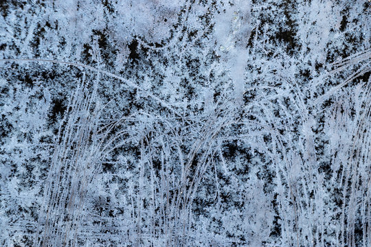 Frostblumen Images – Browse 75 Stock Photos, Vectors, and Video | Adobe ...