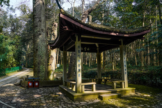 Bingshu Images – Browse 58 Stock Photos, Vectors, and Video | Adobe Stock