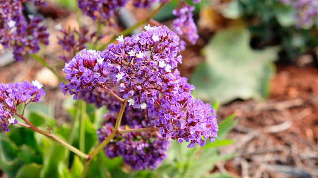 รูปภาพPerezii – เลือกดูภาพถ่ายสต็อก เวกเตอร์ และวิดีโอ347 | Adobe Stock