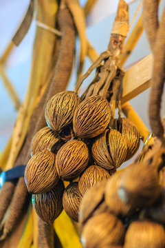 Tangena Bilder – Durchsuchen 162 Archivfotos, Vektorgrafiken und Videos ...