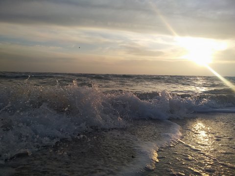 Volna Images – Browse 42 Stock Photos, Vectors, and Video | Adobe Stock