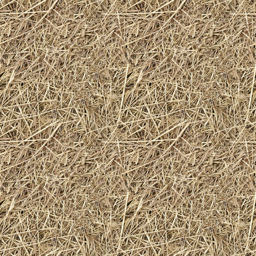 Hay Texture Bilder – Durchsuchen 47,684 Archivfotos, Vektorgrafiken und ...