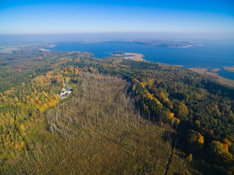 「Mauerwald」の写真素材 | 109件の無料イラスト画像 | Adobe Stock