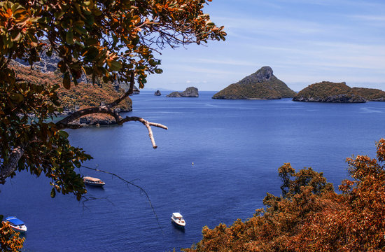 Angtong Images – Browse 61 Stock Photos, Vectors, and Video | Adobe Stock