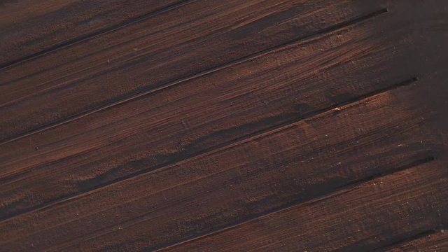 Peat Imagens – Procure 47,274 fotos, vetores e vídeos | Adobe Stock