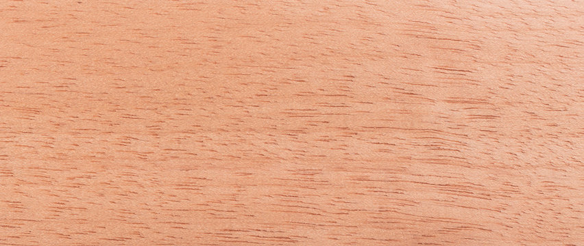 Virola Bilder – Durchsuchen 47 Archivfotos, Vektorgrafiken und Videos ...