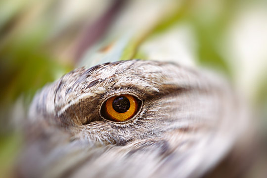 รูปภาพAfroaves – เลือกดูภาพถ่ายสต็อก เวกเตอร์ และวิดีโอ11 | Adobe Stock