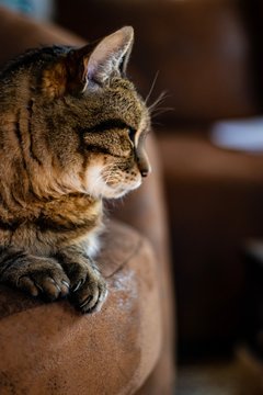 Chilln-Bilder: Stock-Fotos & -Videos. | Adobe Stock