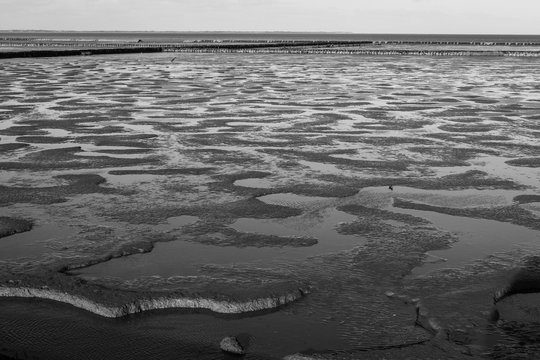 รูปภาพSchlick – เลือกดูภาพถ่ายสต็อก เวกเตอร์ และวิดีโอ3,128 | Adobe Stock