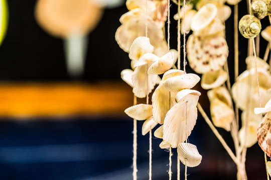 Bulots 이미지 – 찾아보기 426 스톡 사진, 벡터 및 비디오 | Adobe Stock