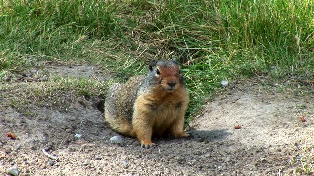 รูปภาพPicas – เลือกดูภาพถ่ายสต็อก เวกเตอร์ และวิดีโอ317 | Adobe Stock