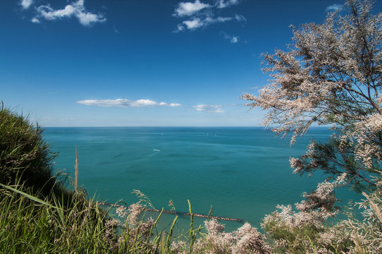 Monte bilder – Bläddra bland 155,735 stockfoton, vektorer och videor ...