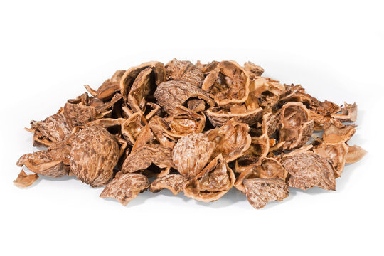 Open Nutshell Bilder – Durchsuchen 49,251 Archivfotos, Vektorgrafiken ...