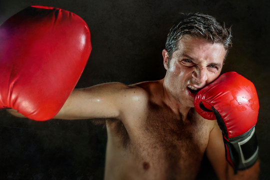 Badass Images – Browse 3,784 Stock Photos, Vectors, and Video | Adobe Stock