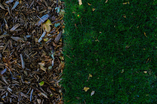 Matojo bilder – Bläddra bland 158 stockfoton, vektorer och videor ...