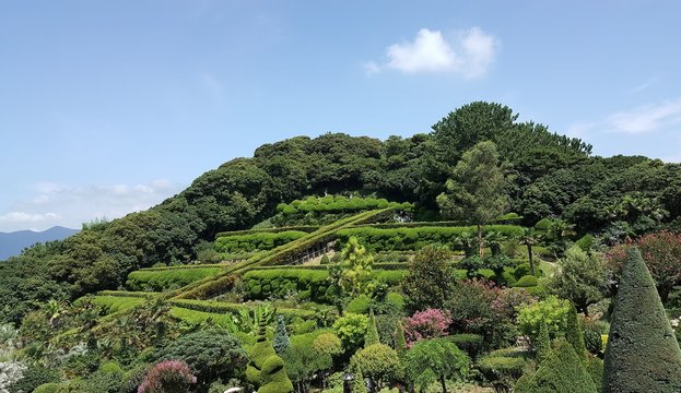 Botania Imagens – Procure 43 fotos, vetores e vídeos | Adobe Stock