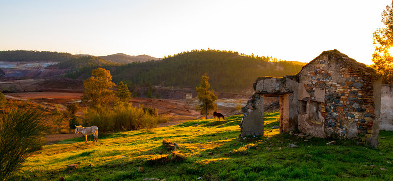 รูปภาพTinto – เลือกดูภาพถ่ายสต็อก เวกเตอร์ และวิดีโอ9,286 | Adobe Stock