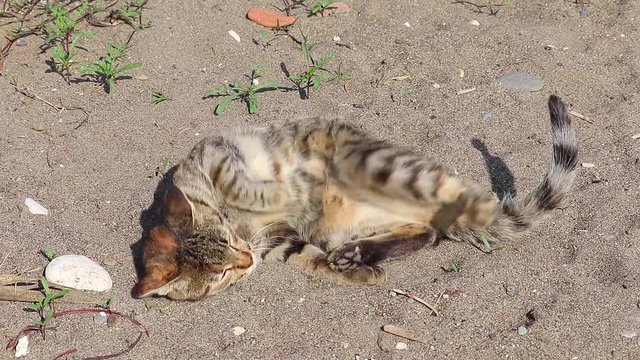 Sluggishly Bilder – Durchsuchen 3,632 Archivfotos, Vektorgrafiken und ...