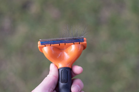 De-Shedding Images – Browse 53 Stock Photos, Vectors, and Video | Adobe ...