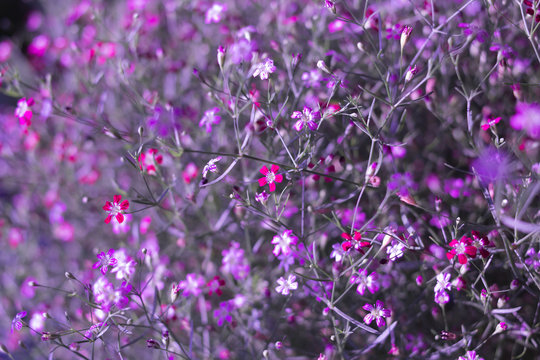 รูปภาพYipso – เลือกดูภาพถ่ายสต็อก เวกเตอร์ และวิดีโอ24 | Adobe Stock