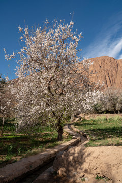 Marro Images – Browse 49 Stock Photos, Vectors, and Video | Adobe Stock