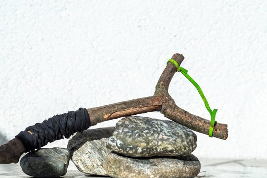 รูปภาพProca – เลือกดูภาพถ่ายสต็อก เวกเตอร์ และวิดีโอ16 | Adobe Stock