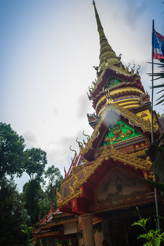 「Phlan」の写真素材 | 18件の無料イラスト画像 | Adobe Stock